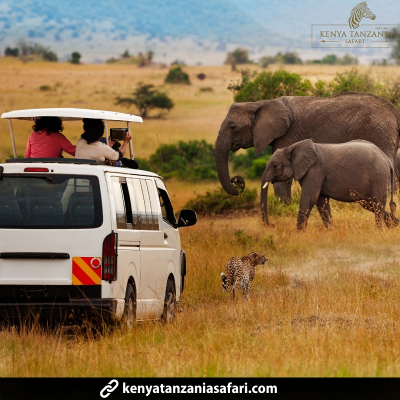 Luxury Resorts All-Inclusive at Kenya Beach Destinations | Launch DXB